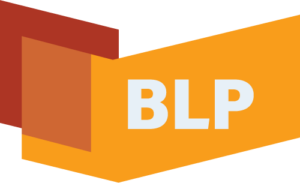 Using the BLP - Bilingual Language Profile